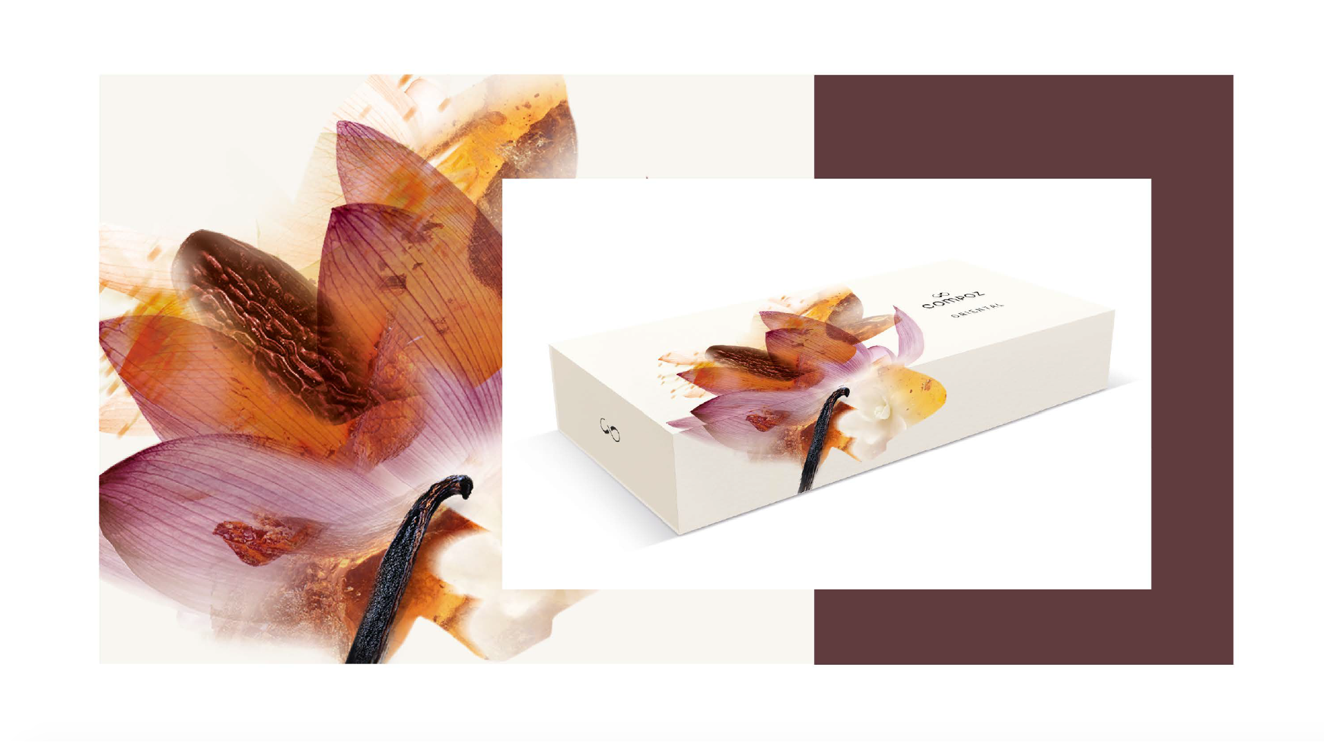 Compoz - CBA Design France