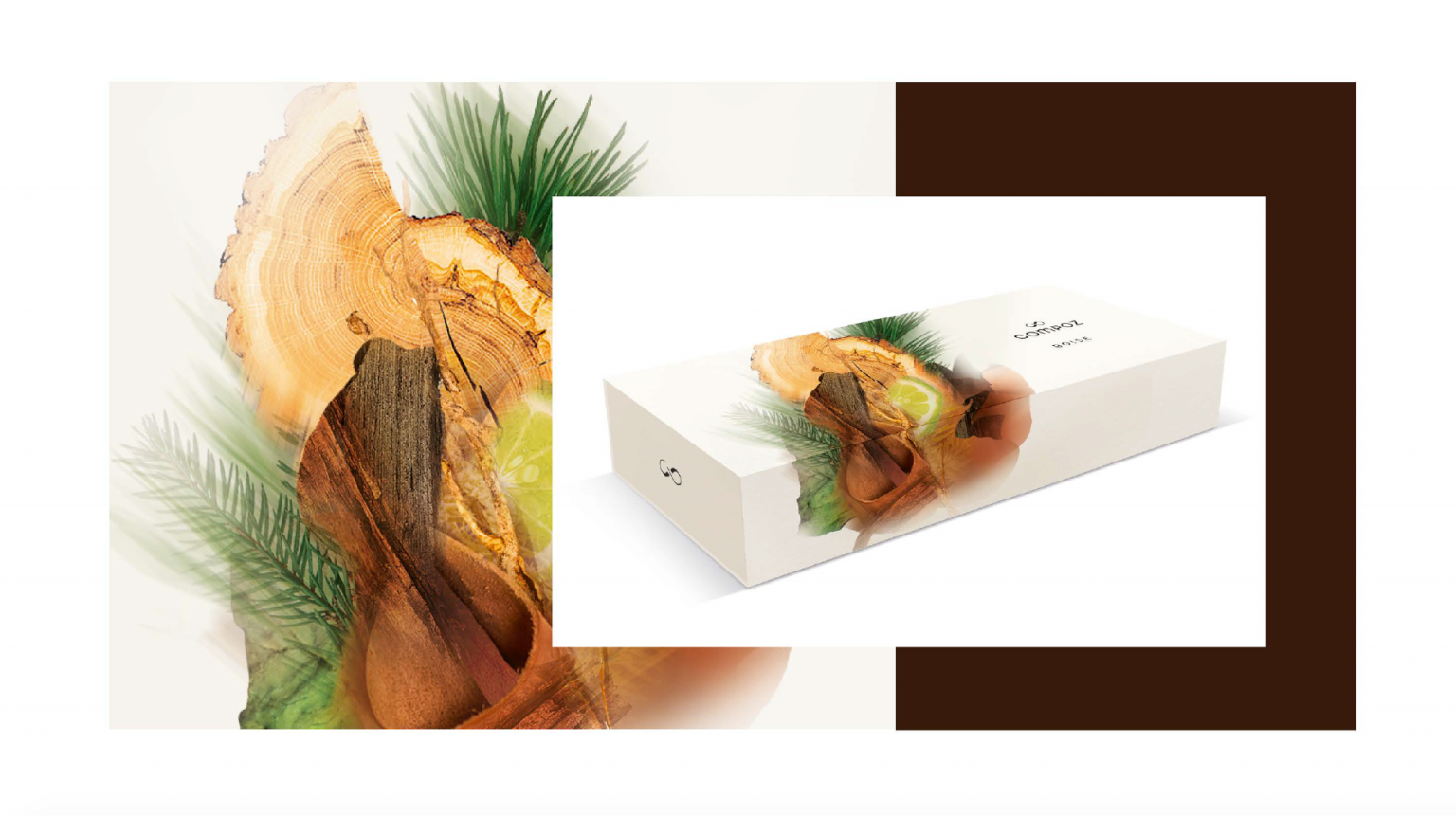 Compoz - CBA Design France