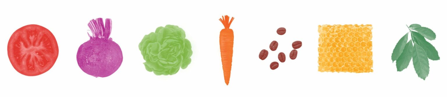 Design inclusif, un monde sans limites - CBA Design France