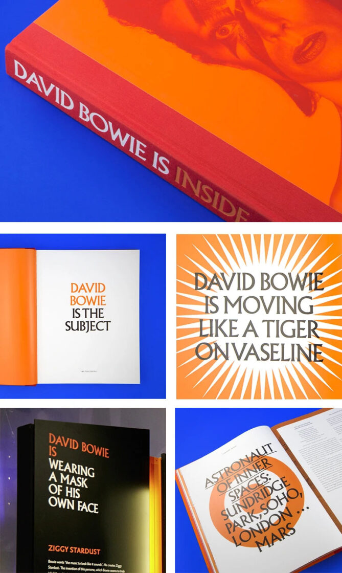 Albertus - CBA Italy