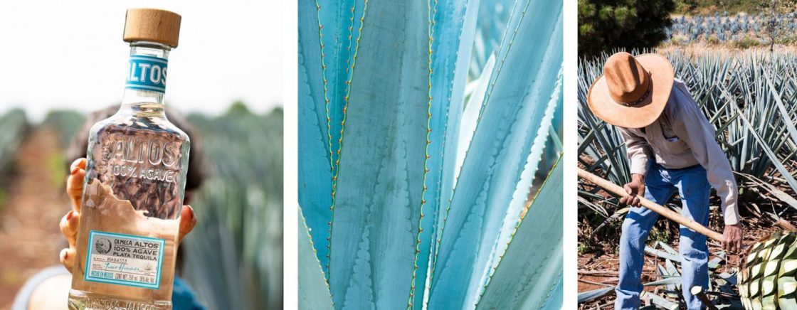 Pernod Ricard, Good as hell