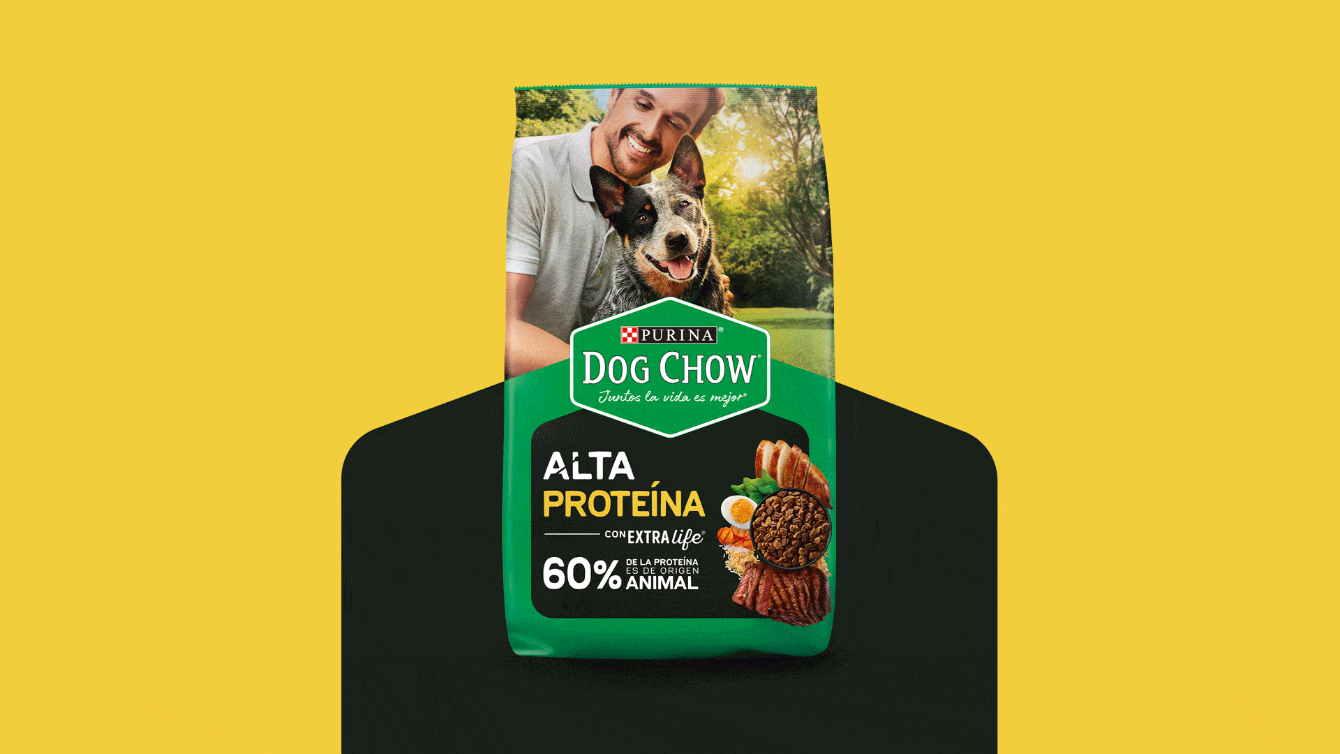 Purina® DOG CHOW®: Adeus monotonia! Novas combinações de proteínas ...