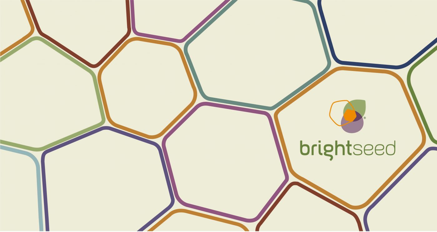 Brightseed - Brand Creation