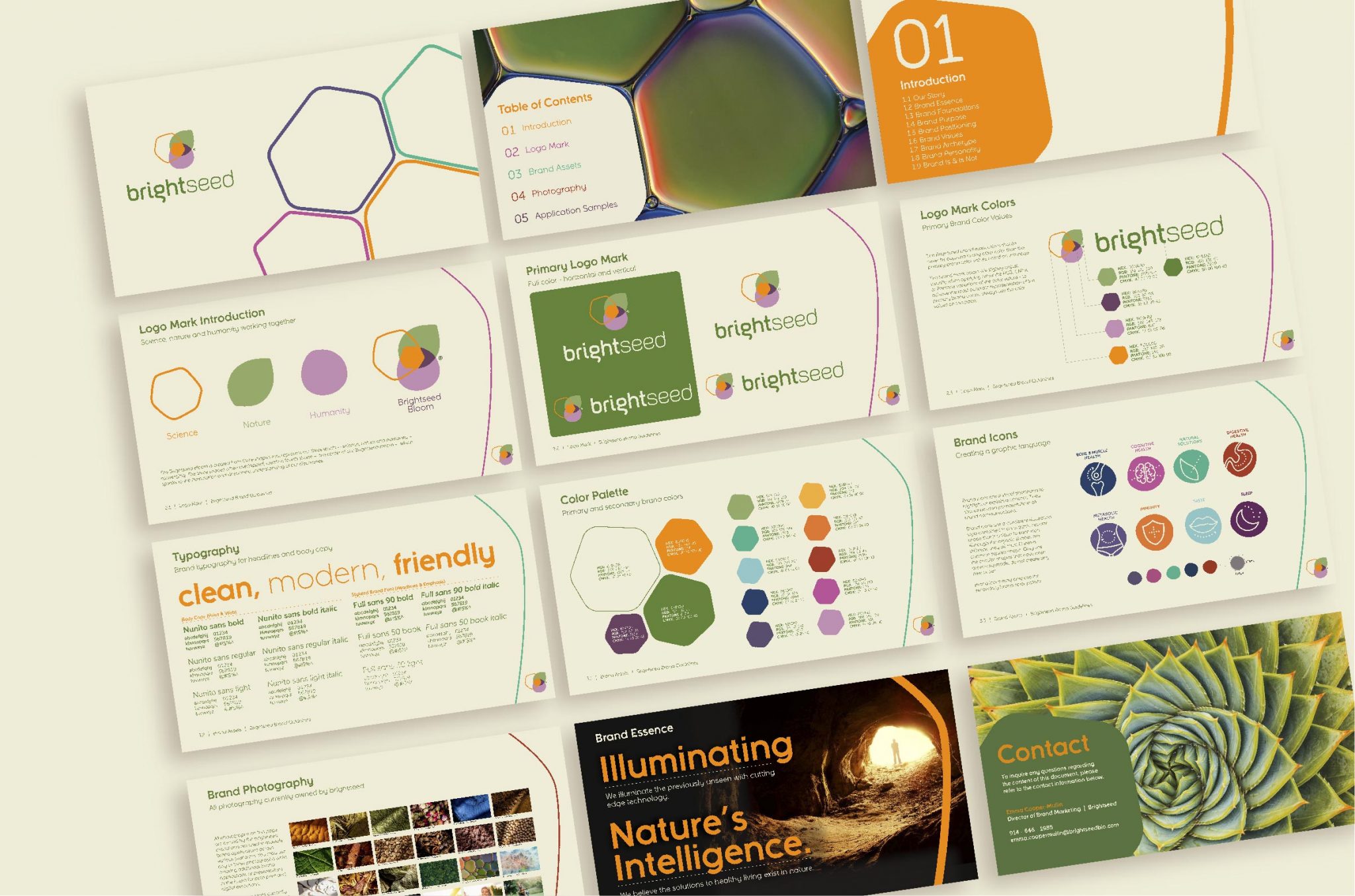 Brightseed - Brand Creation